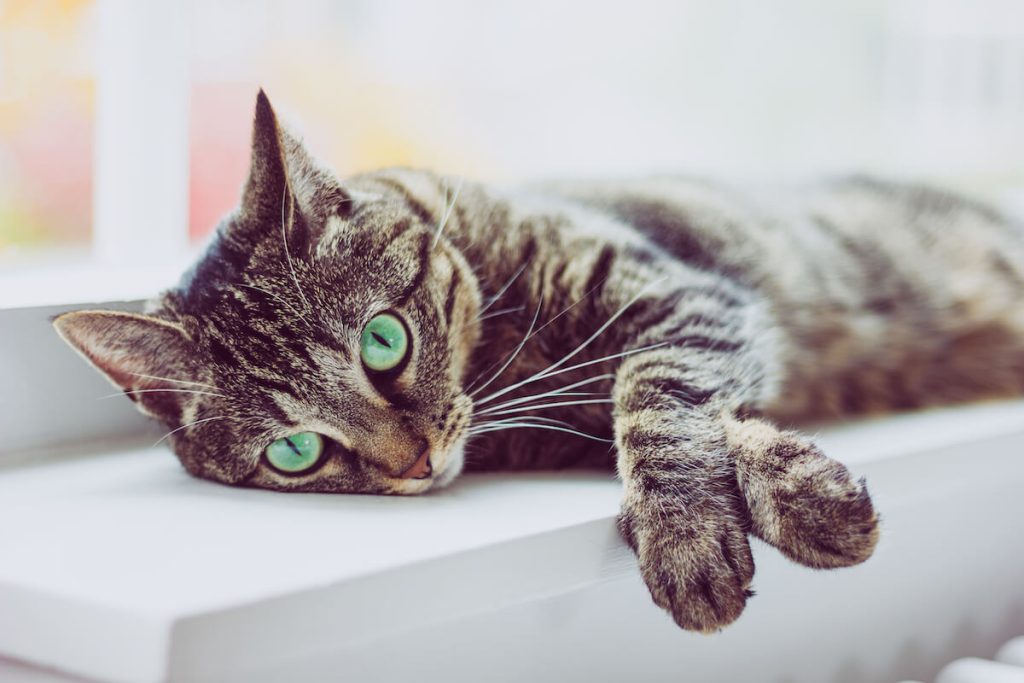 Czym jest rektoskopia - przebieg badania. Medycyna360.pl