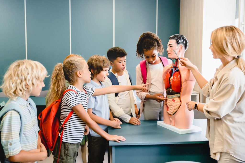 Funkcje i budowa nosa u człowieka. Medycyna360.pl